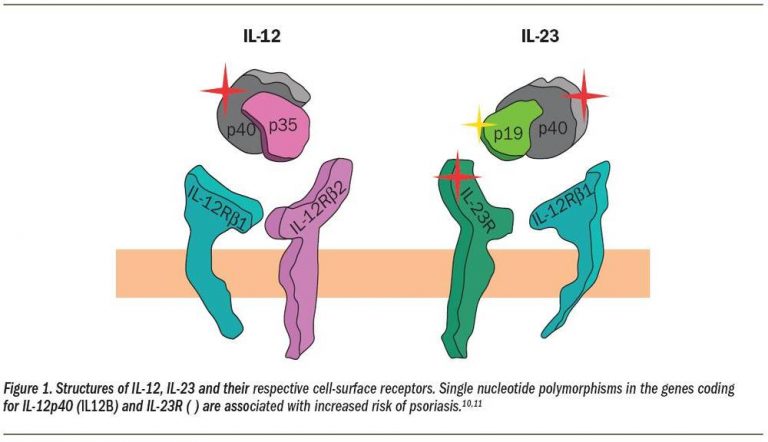 fig 1 - Key Opinions in Medicine